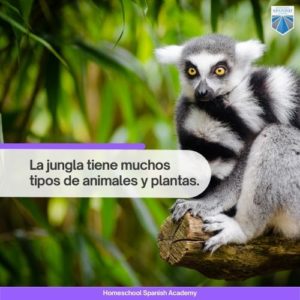 Nature Printables and Activities (Free Spanish Lessons for Kids)