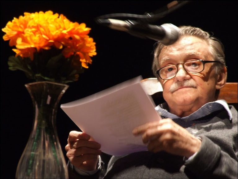 Hispanic Contributions to World Literature