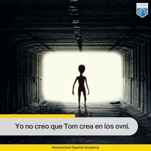 Subjunctive vs Indicative in Spanish: Learn How To Use Them!