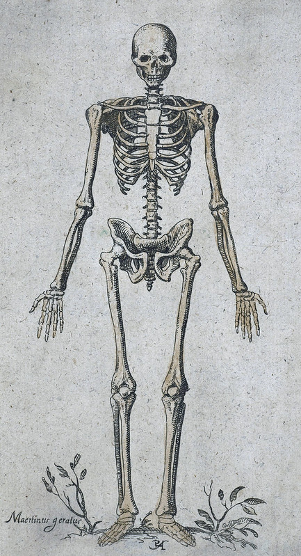 Spanish Body Parts: Vocabulary and Idiomatic Expressions