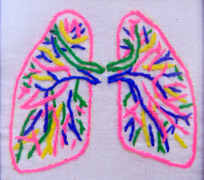 Spanish Body Parts: Vocabulary and Idiomatic Expressions