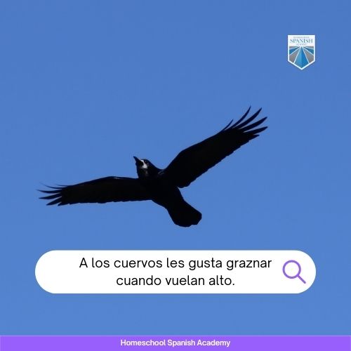 Animal Sounds (Free Spanish Lessons for Kids)