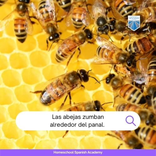 Animal Sounds (Free Spanish Lessons for Kids)