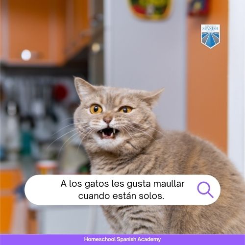 Animal Sounds (Free Spanish Lessons for Kids)