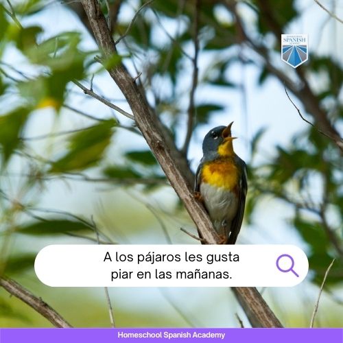 Animal Sounds (Free Spanish Lessons for Kids)