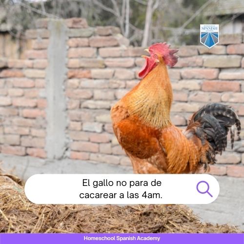 Animal Sounds (Free Spanish Lessons for Kids)