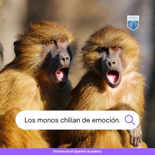 Animal Sounds (Free Spanish Lessons for Kids)