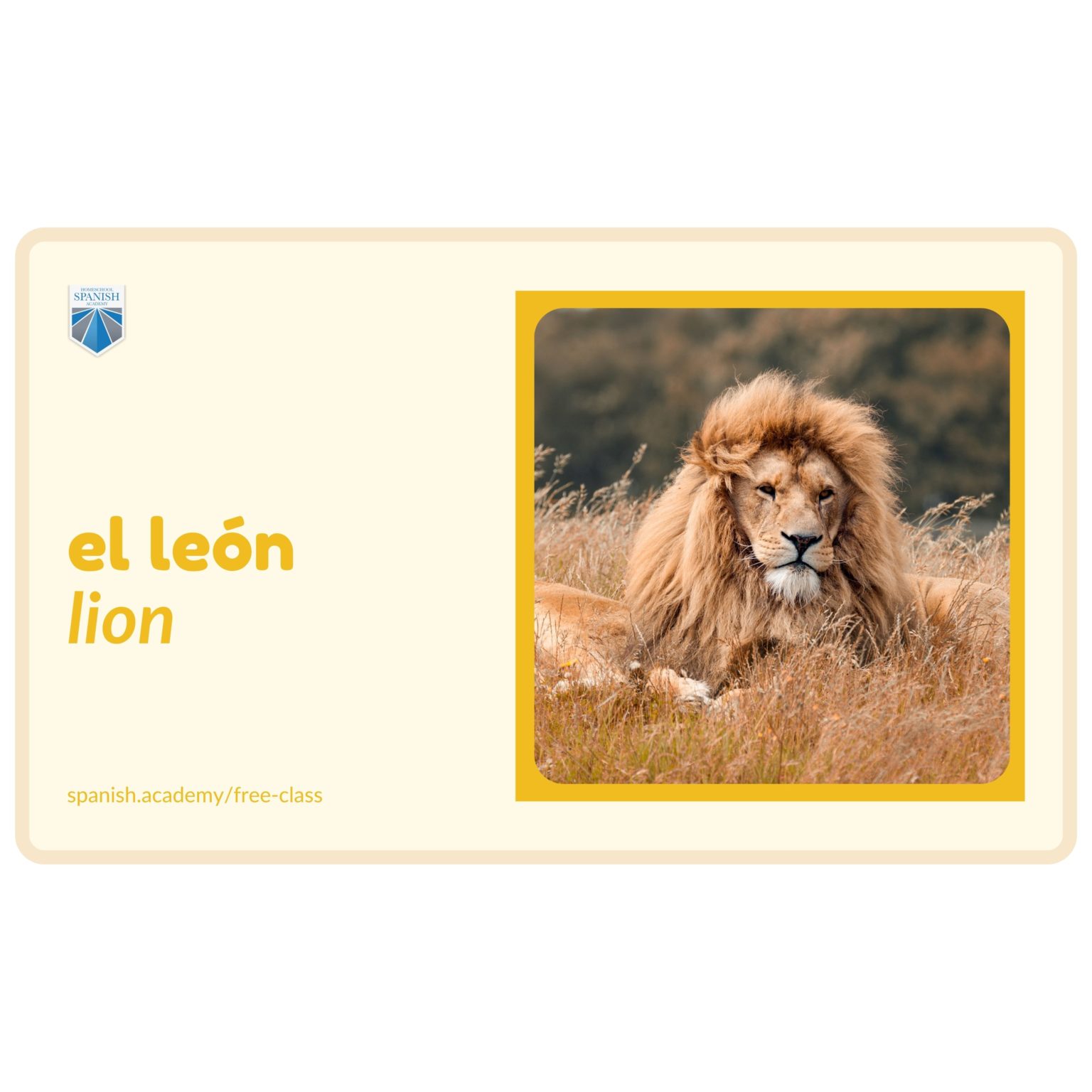 How To Use Visual Aids for Spanish Learning