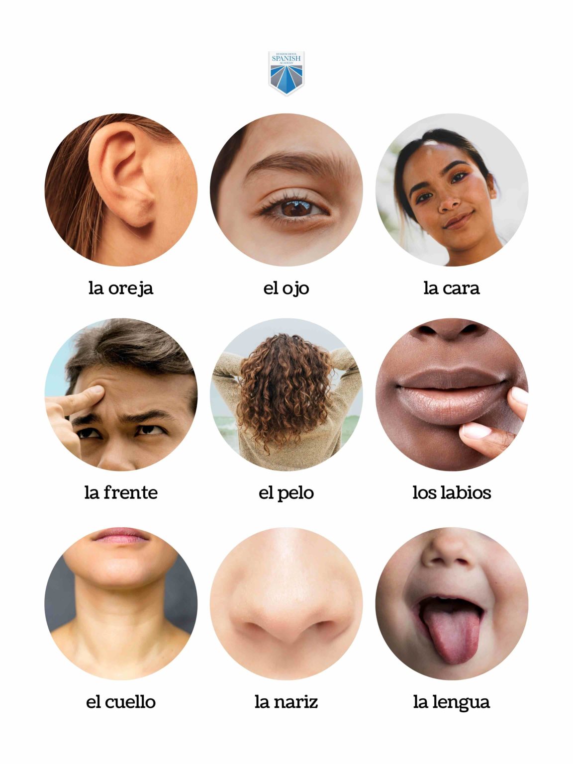 Parts of the Body (Free Spanish Lessons for Kids)