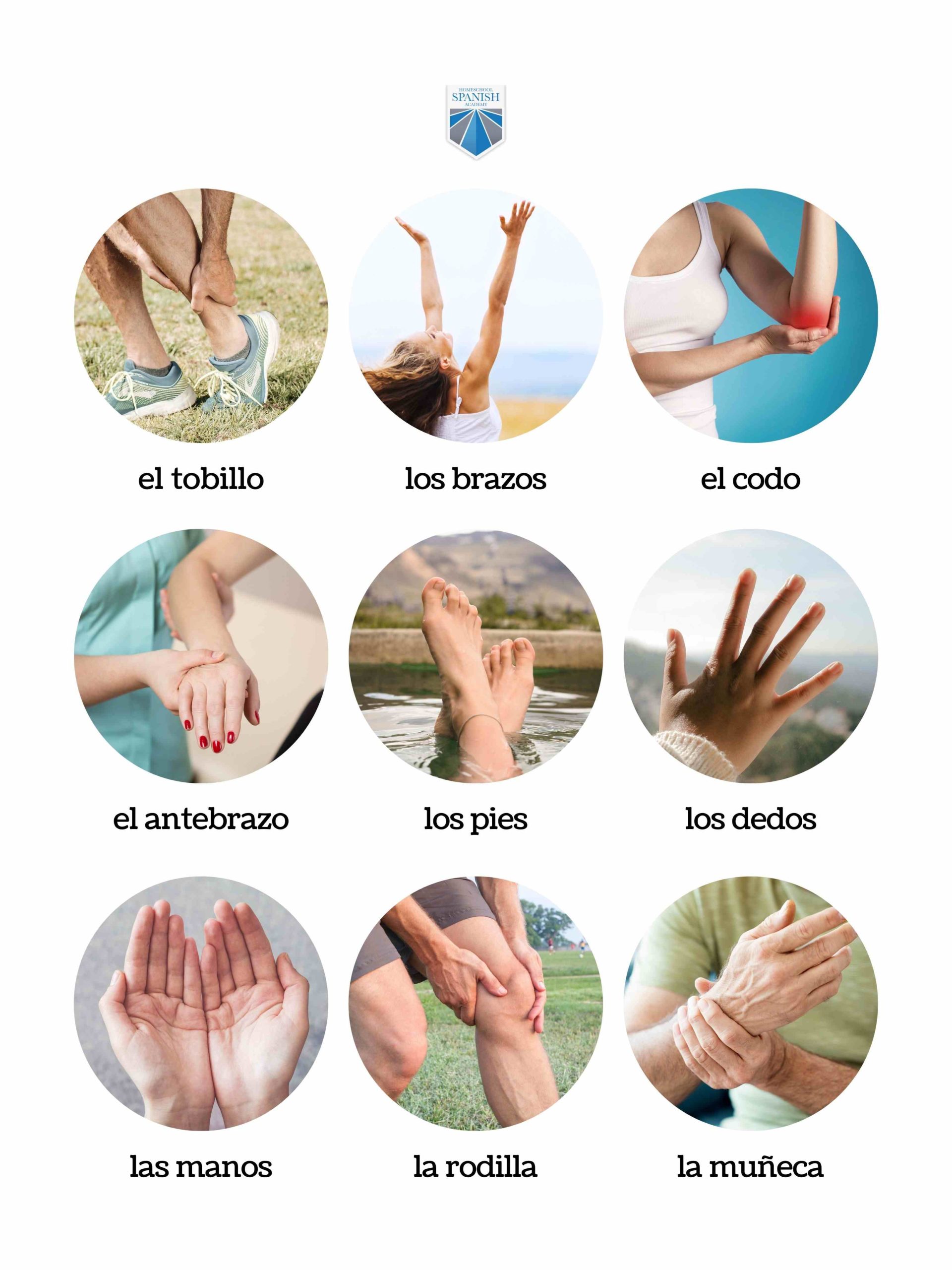 Parts of the Body (Free Spanish Lessons for Kids)