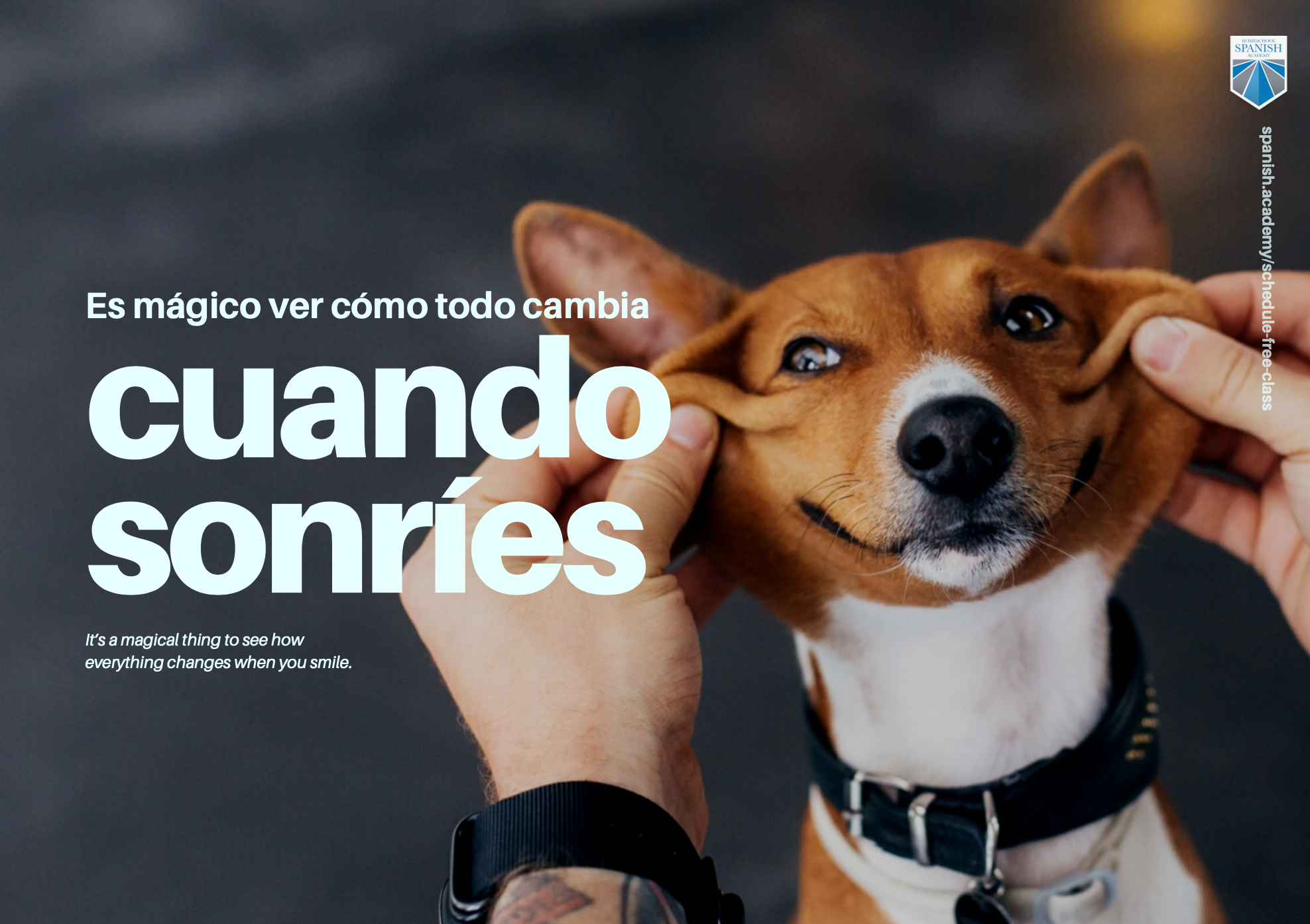 75 Special Valentine’s Day Messages in Spanish (Free Printable Cards)