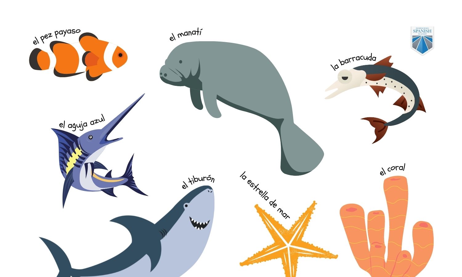 Tropical Animals in Spanish (Free Spanish Lessons for Kids)