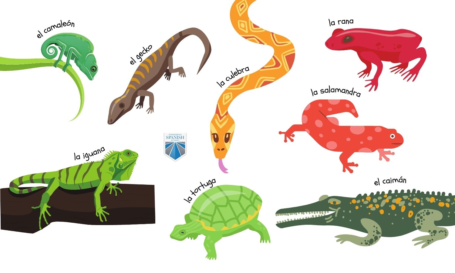 Tropical Animals in Spanish (Free Spanish Lessons for Kids)