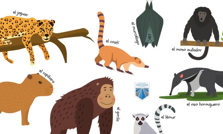 Tropical Animals in Spanish (Free Spanish Lessons for Kids)