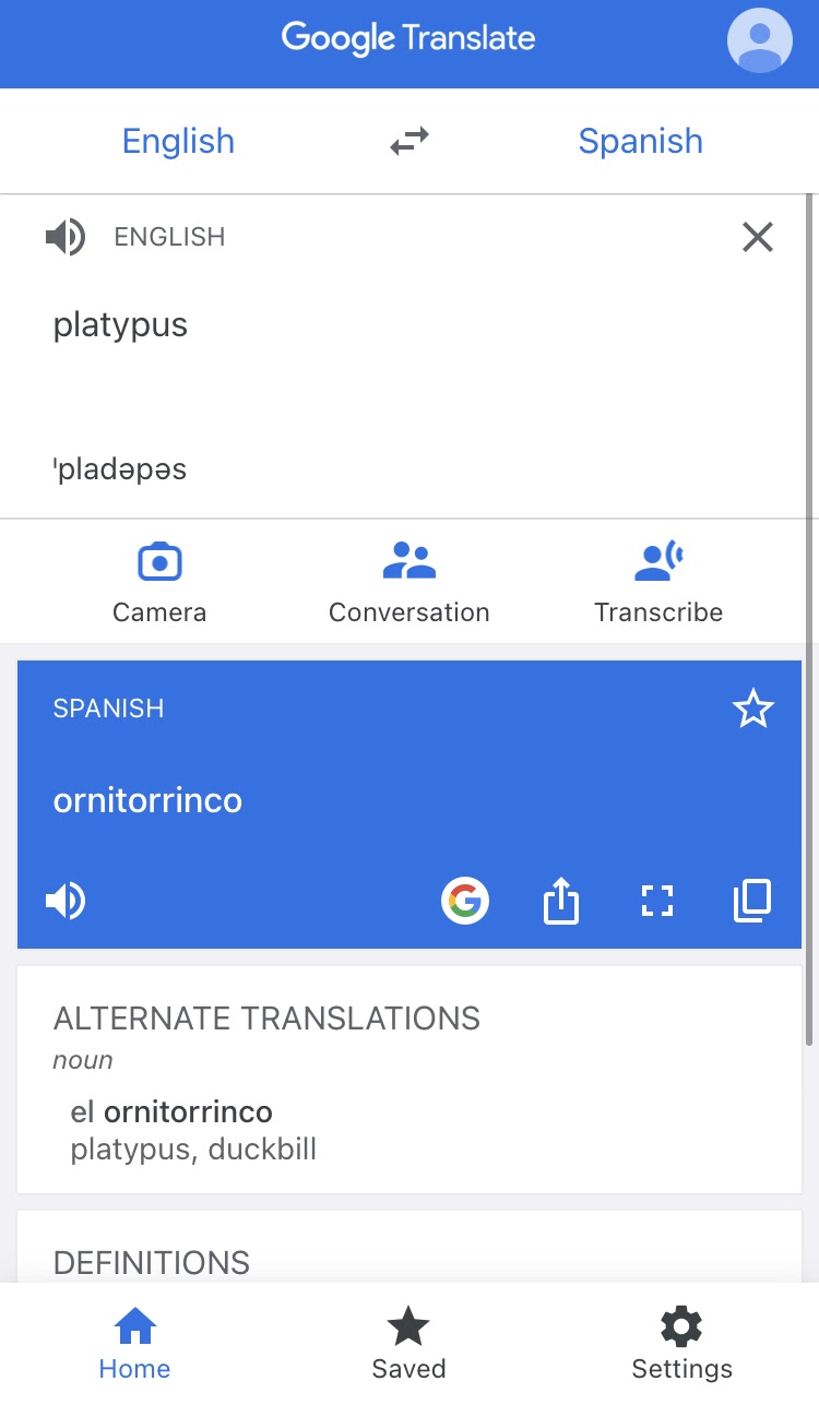 20 Best Apps To Learn Spanish On Your Own in 2022