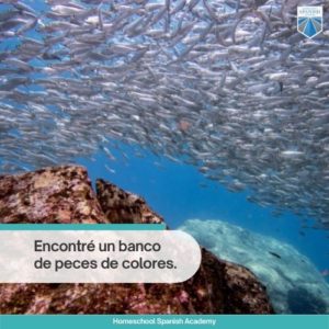 Learn These 20 Types of Fish in Spanish [+ More Vocab]