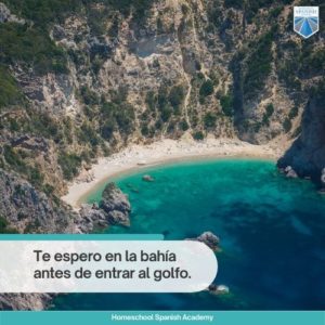 Learn These 20 Types of Fish in Spanish [+ More Vocab]