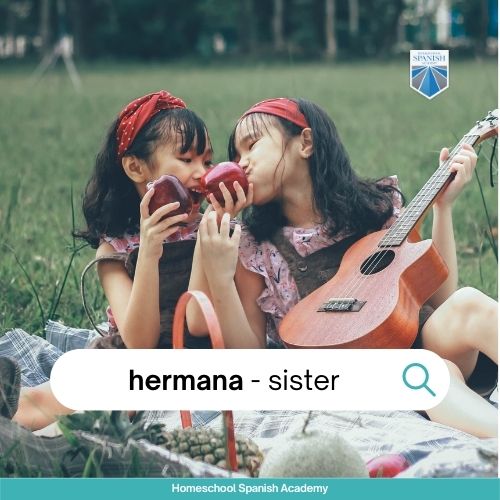 Spanish High-Frequency Words To Increase Reading Fluency [Free Printables]