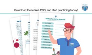 Parts of a Cell in Spanish (Free Spanish Lessons for Kids)