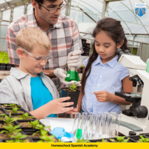 6 Disadvantages of Homeschooling