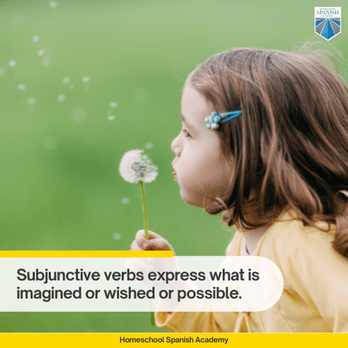 'Tener' Subjunctive Mood: How To Use It the Right Way