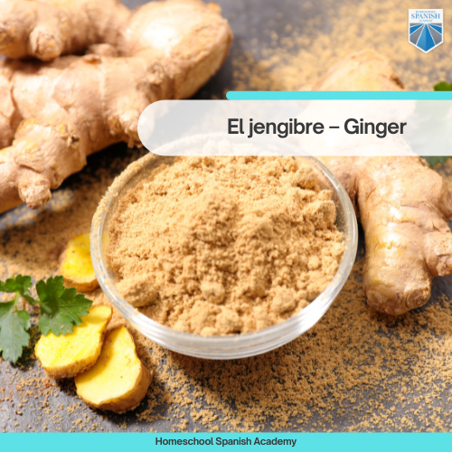 Vegan and Vegetarian Vocabulary in Spanish